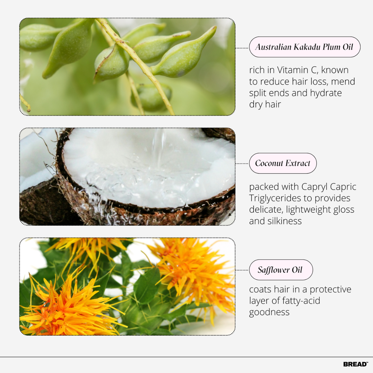 Hair-Oil Everyday Gloss | Bread Beauty Supply – BREAD BEAUTY SUPPLY