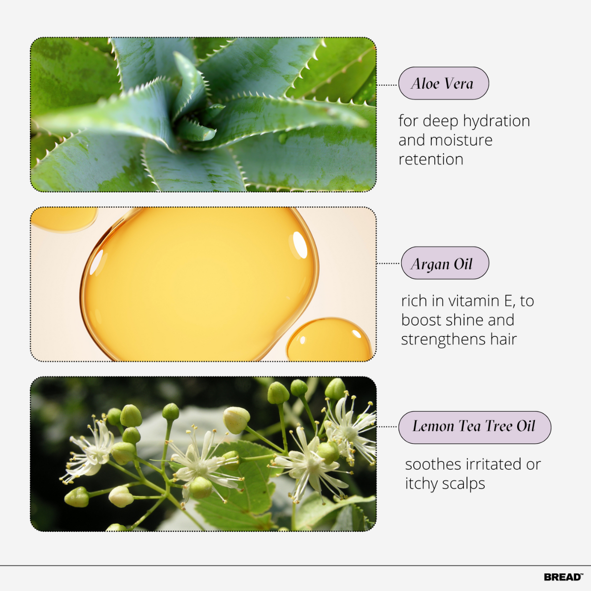 Hair-Wash Milky Hair Cleanser | Bread Beauty Supply – BREAD BEAUTY SUPPLY